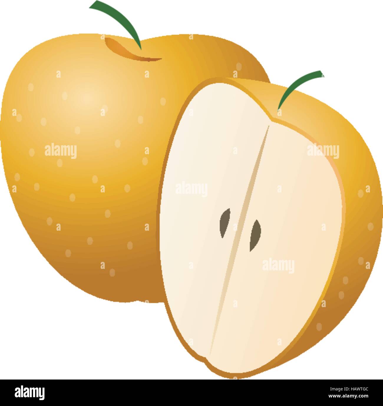 Pear cross section Stock Vector Images - Alamy