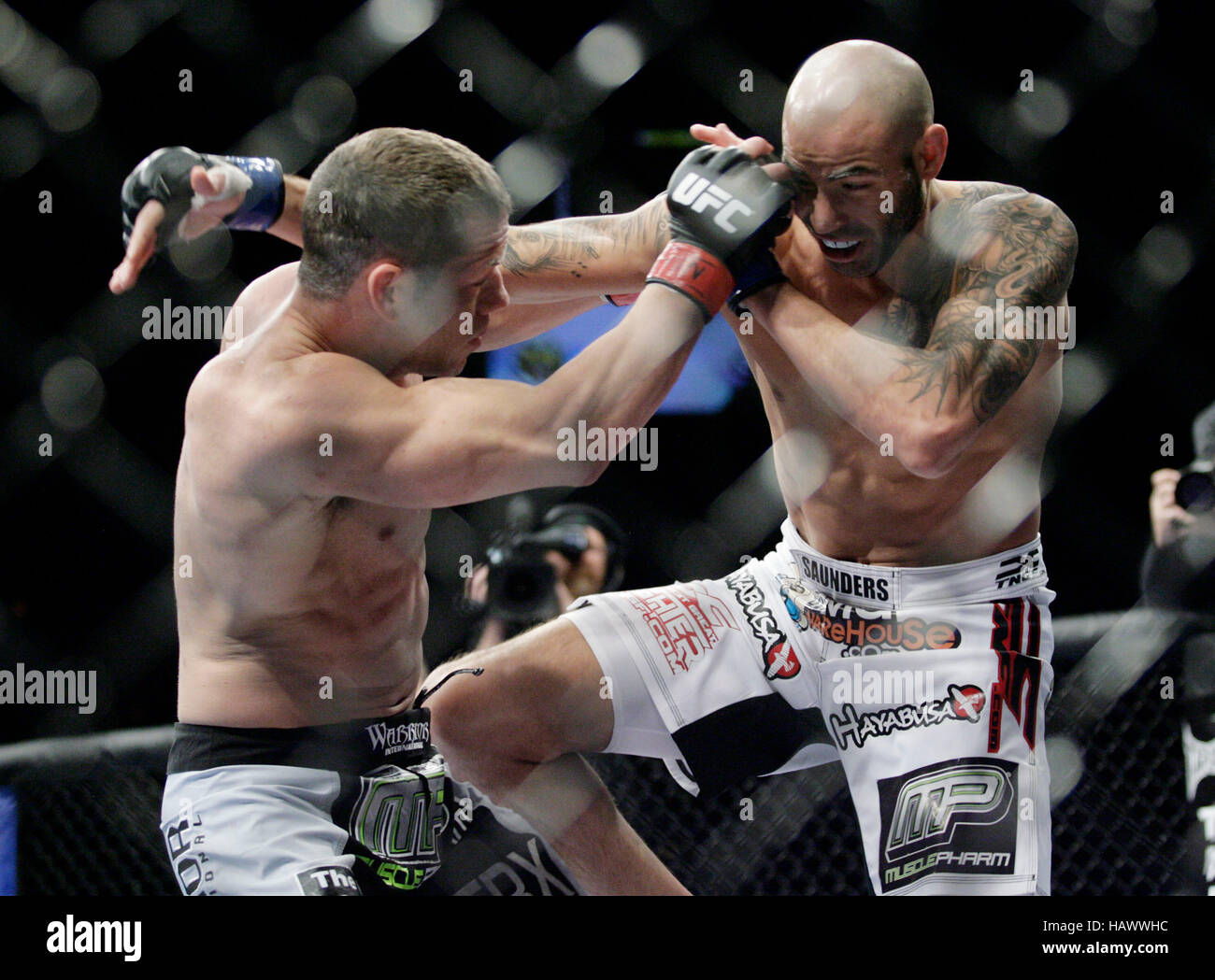 Marcus saunders hi-res stock photography and images - Alamy