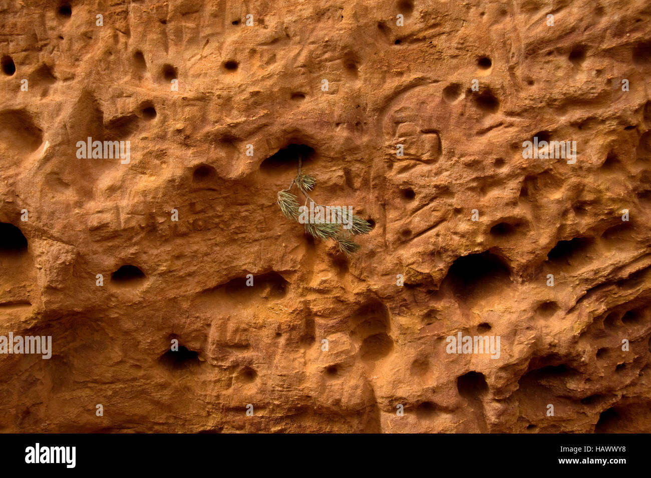 Provencal Colorado, Rustrel, Vaucluse, France Stock Photo - Alamy