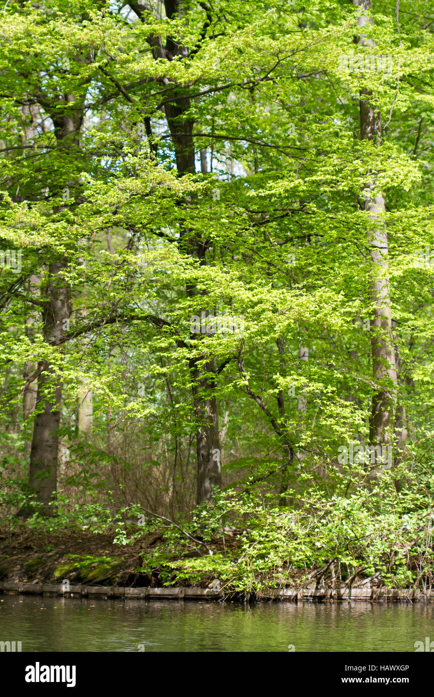 Germany tiergarten hi-res stock photography and images - Alamy