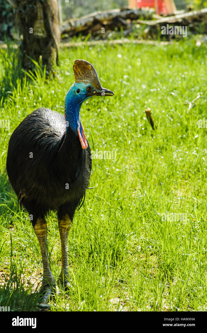 Bedrohung der natur hi-res stock photography and images - Alamy