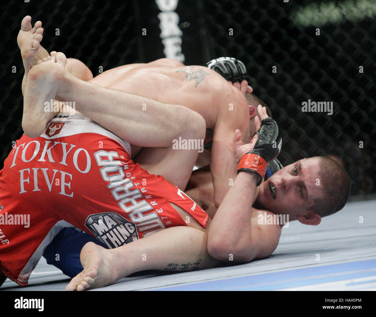 Sam Stout, left, fights Joe Lauzon during UFC 108 at the MGM Grand ...