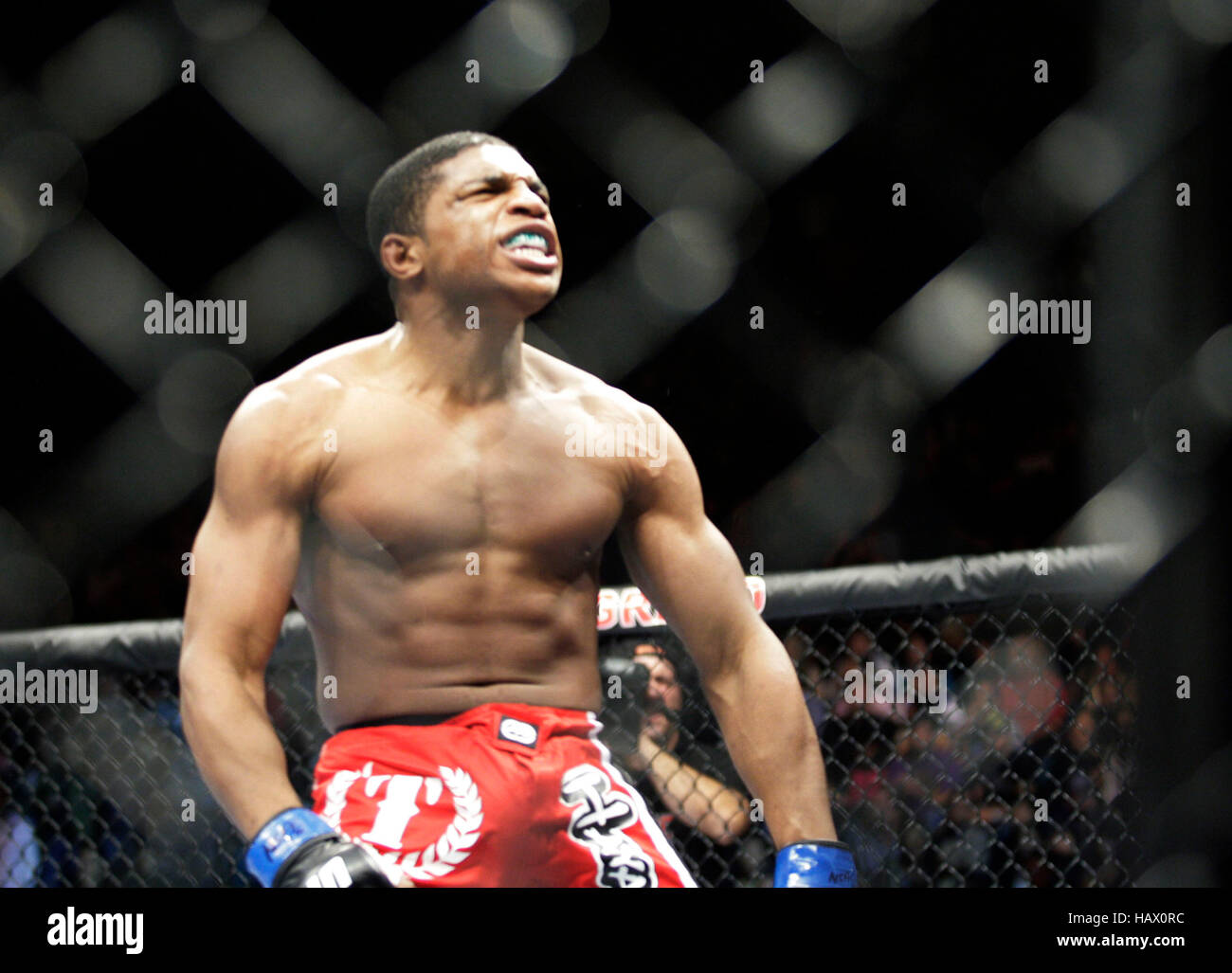 Paul Daley celebrates his victory over Dustin Hazelett during UFC 108 ...