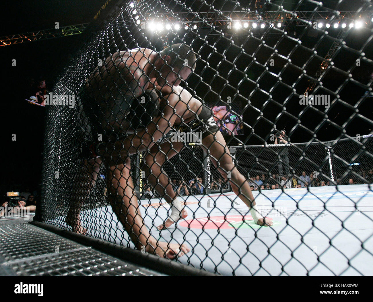 Rashad Evans, right, fights Thiago Silva during UFC 108 at the MGM ...