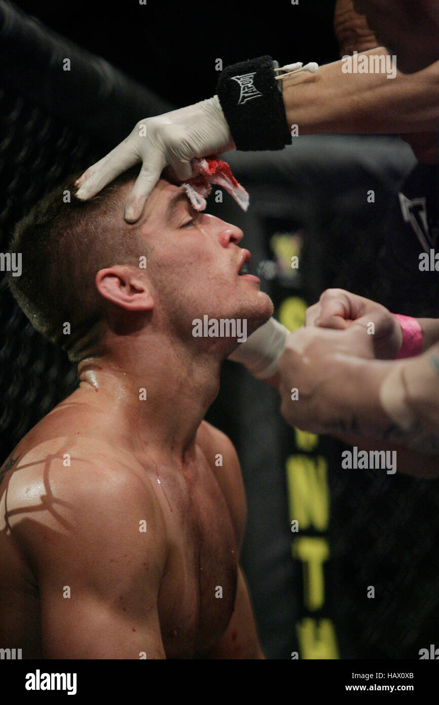 Sam Stout during UFC 108 at the MGM Grand Garden Arena on January 2 ...