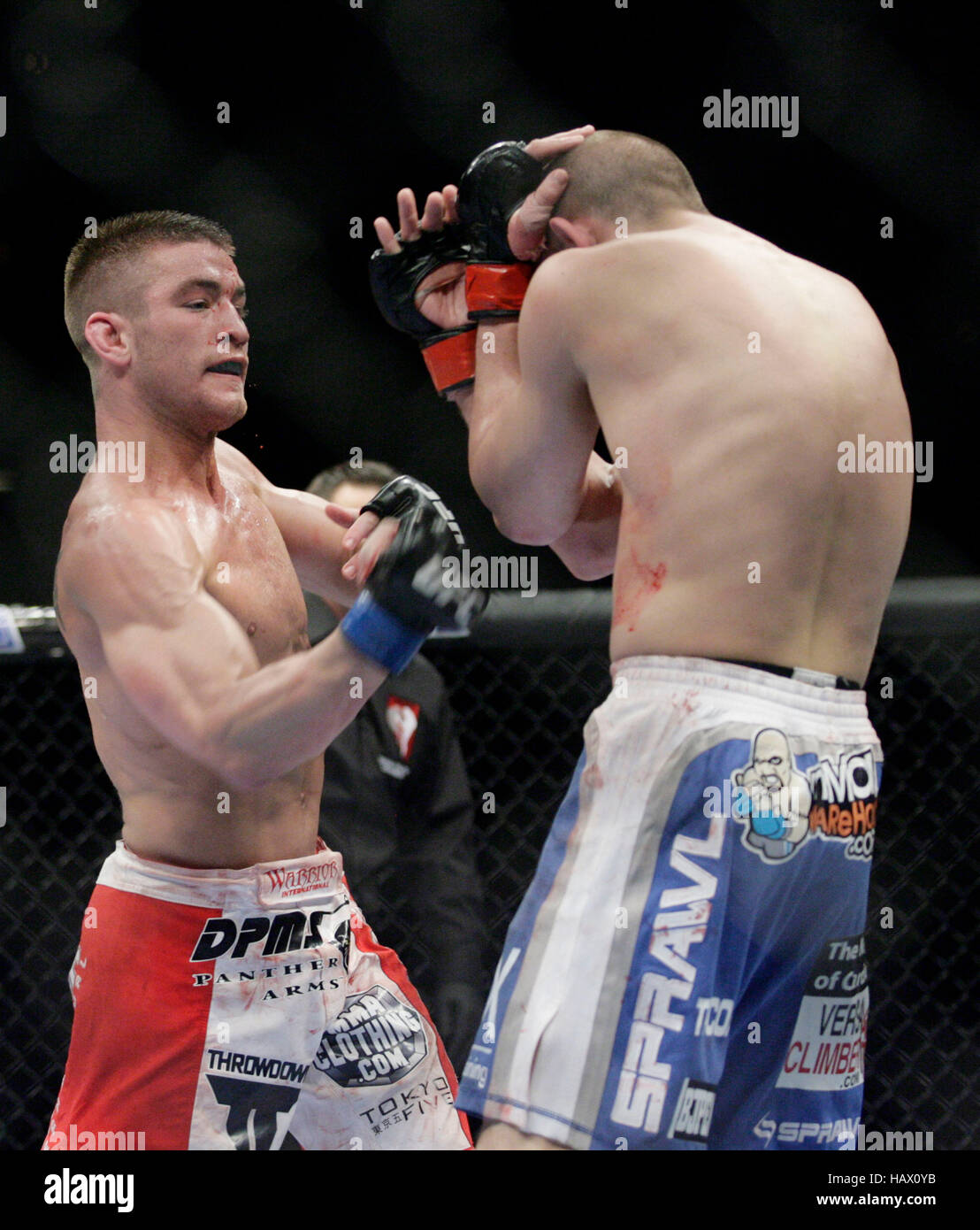 Sam Stout, left, fights Joe Lauzon during UFC 108 at the MGM Grand ...