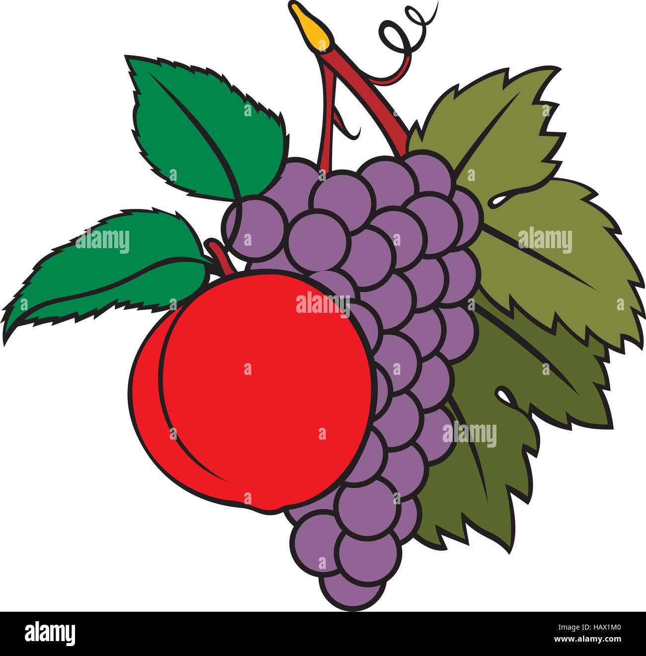 Belly button hair Stock Vector Images - Alamy