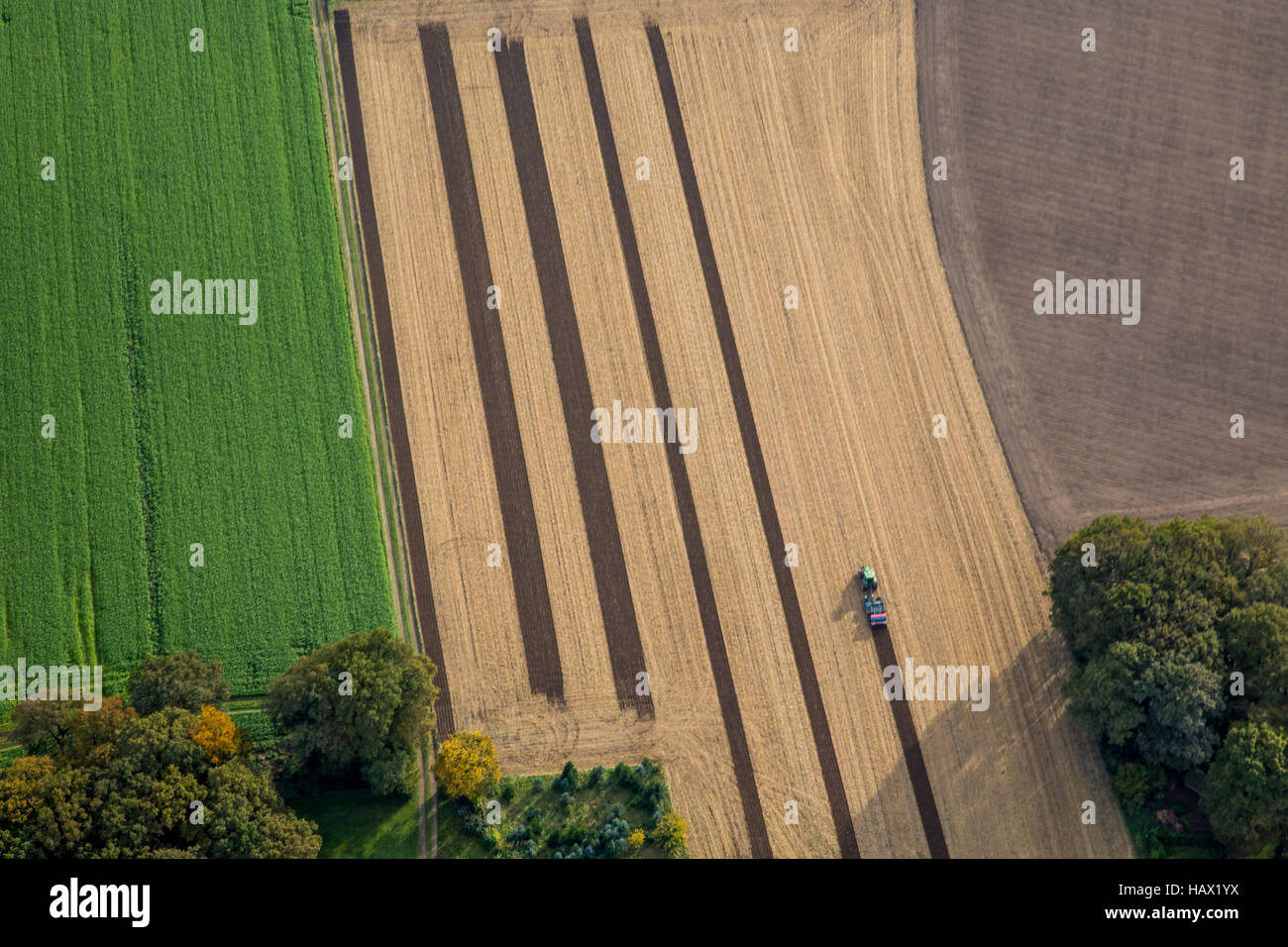 arable land, farmland Stock Photo - Alamy