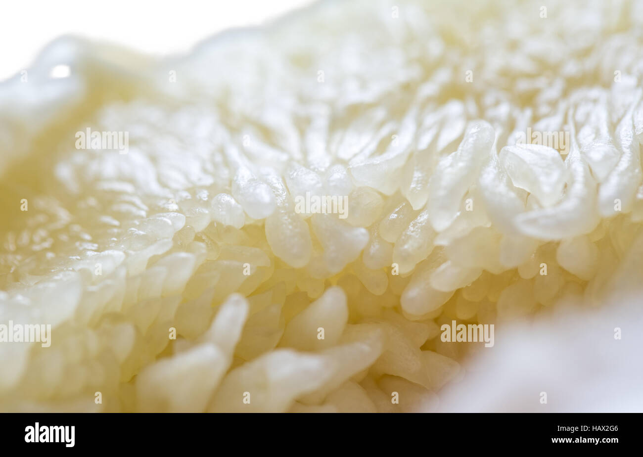 Pomelo photo hi-res stock photography and images - Alamy