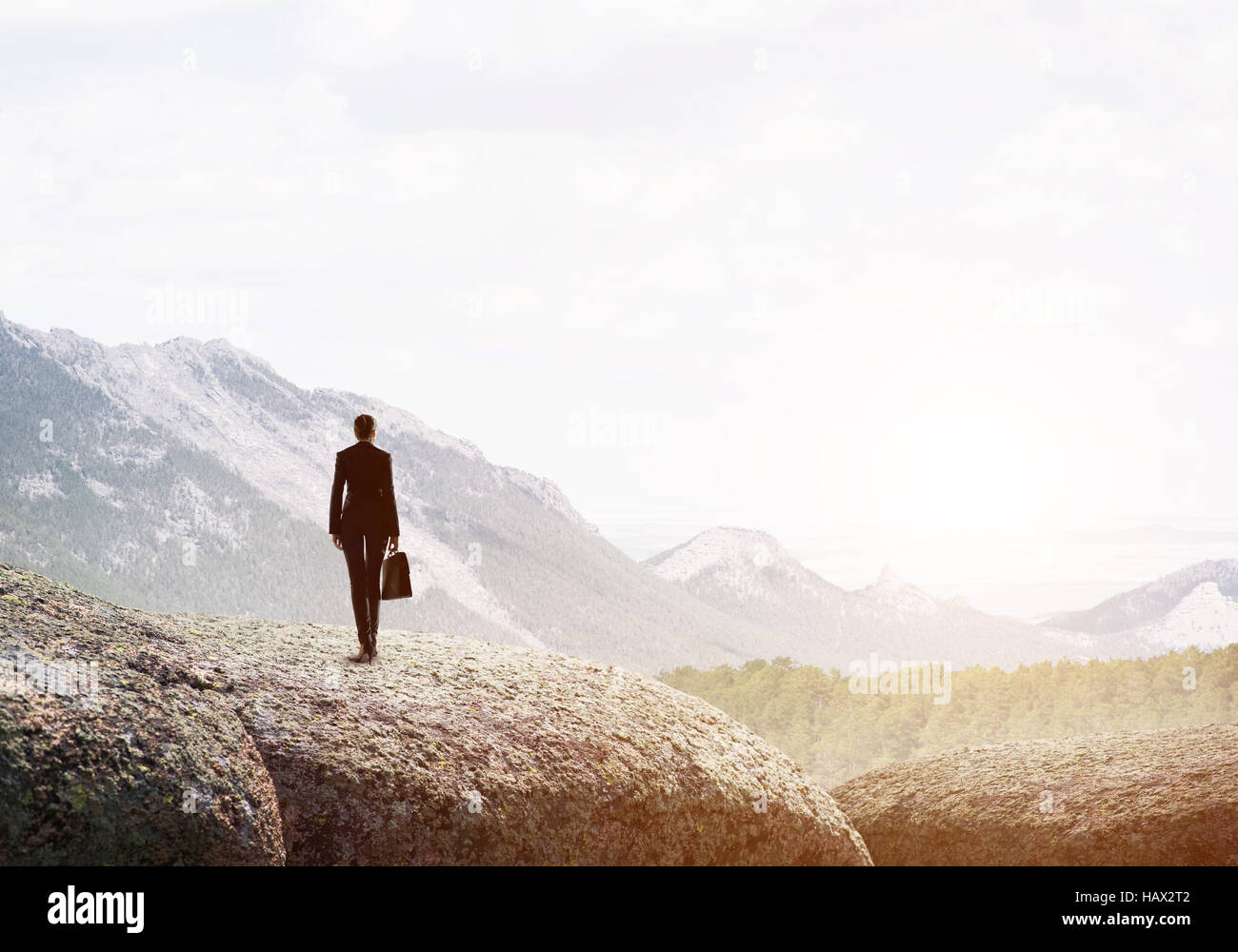 Achieving top of success Stock Photo - Alamy