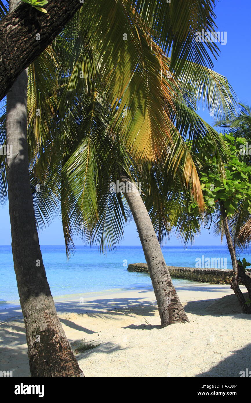 Summe beach hi-res stock photography and images - Alamy