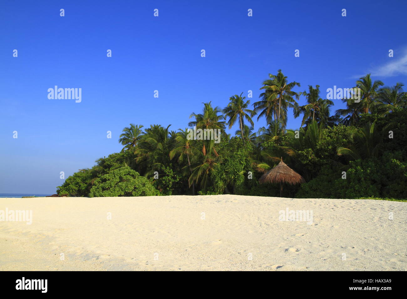 Palm dhoni beach sand island atoll hi-res stock photography and images ...