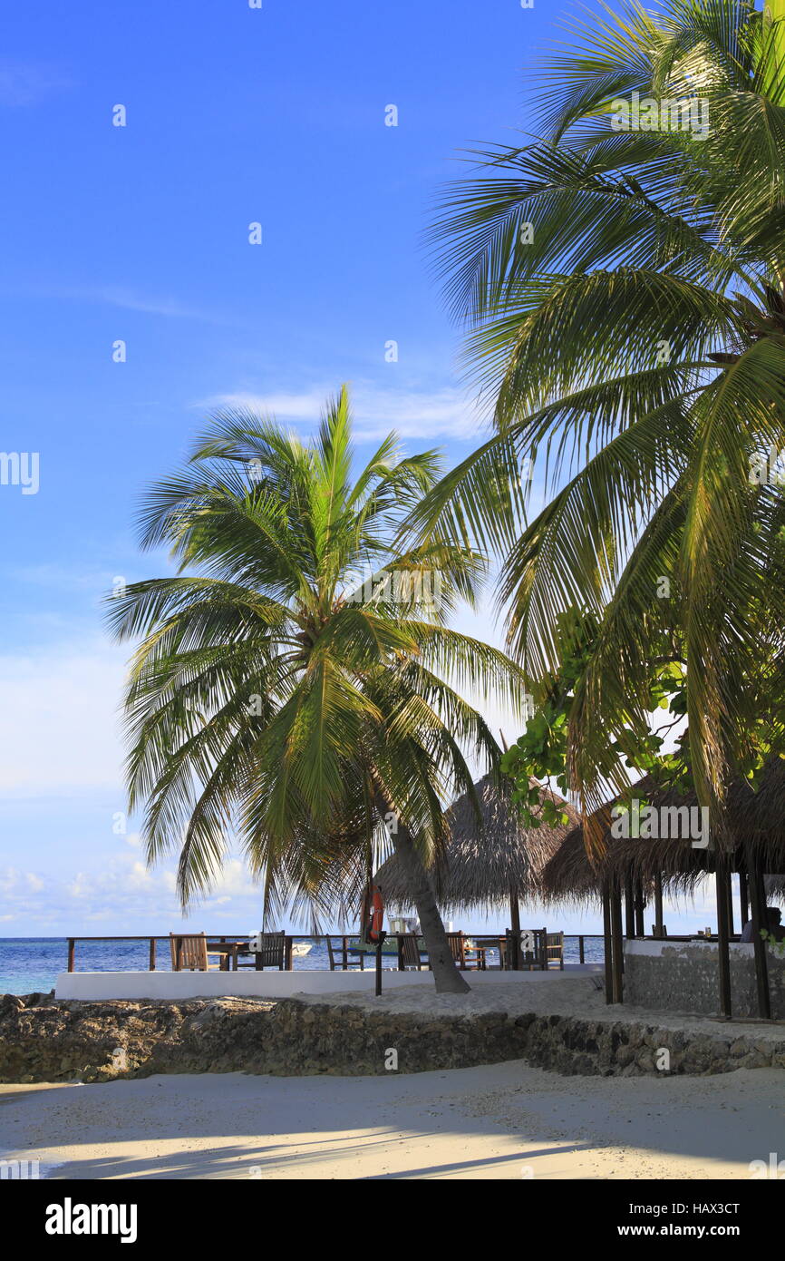 Summe beach hi-res stock photography and images - Alamy