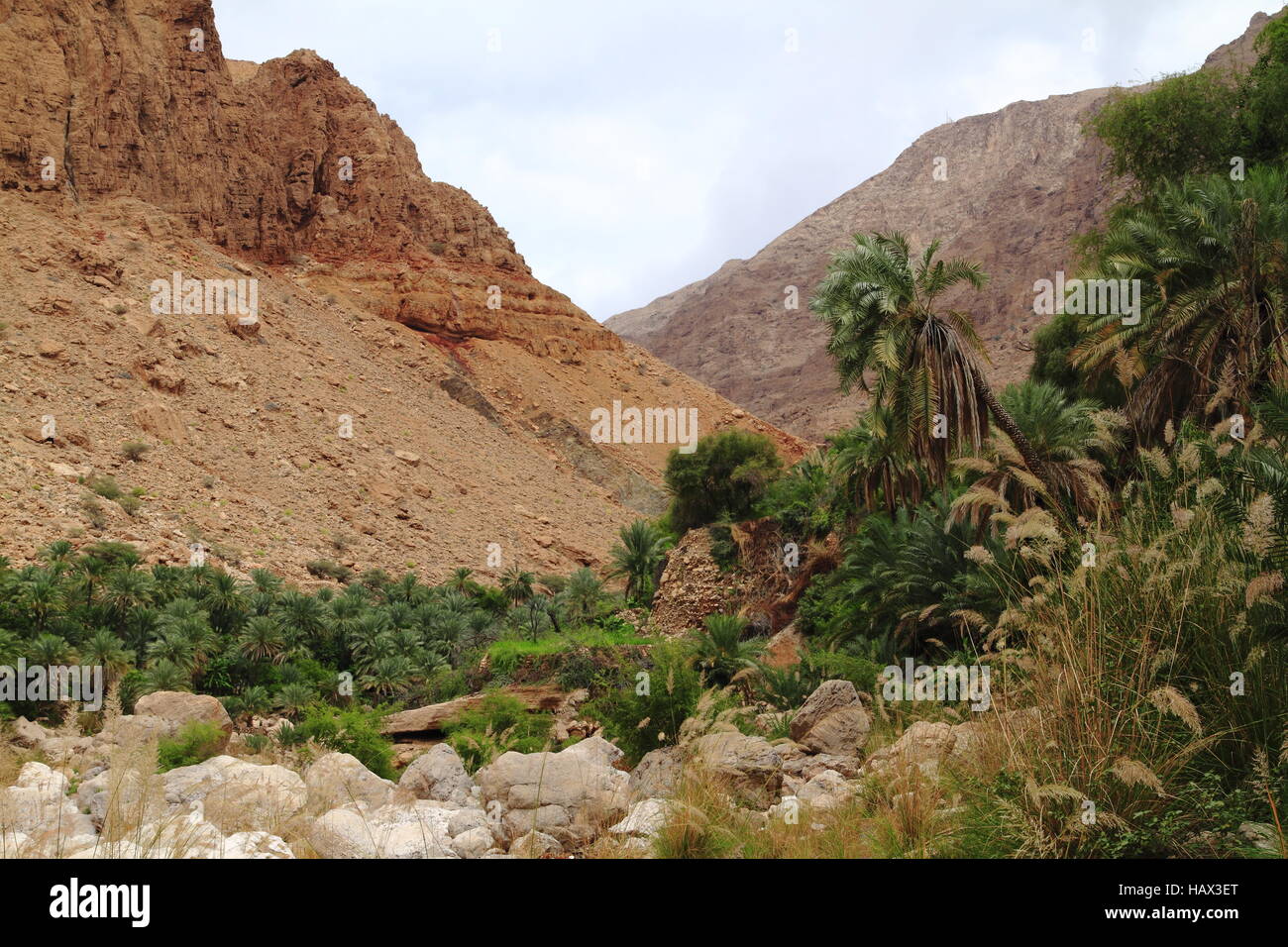 Wadi adventure pool hi-res stock photography and images - Alamy