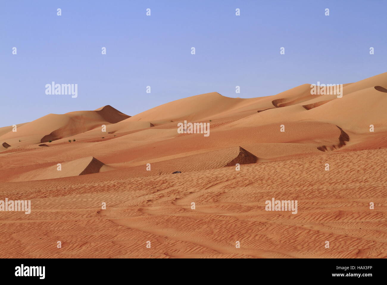 The Wahiba Sands Stock Photo - Alamy