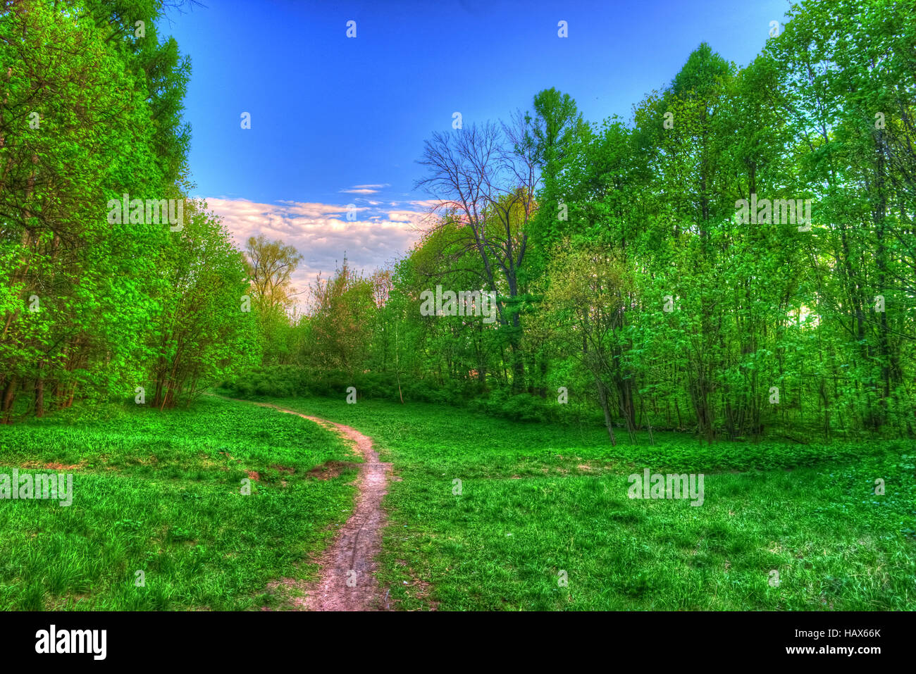 Pathway on a hill with wildflowers. Beautiful natural landscape Stock ...