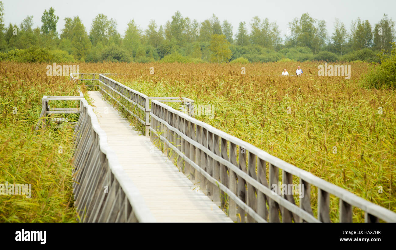 Bad Buchau, Germany Stock Photo - Alamy