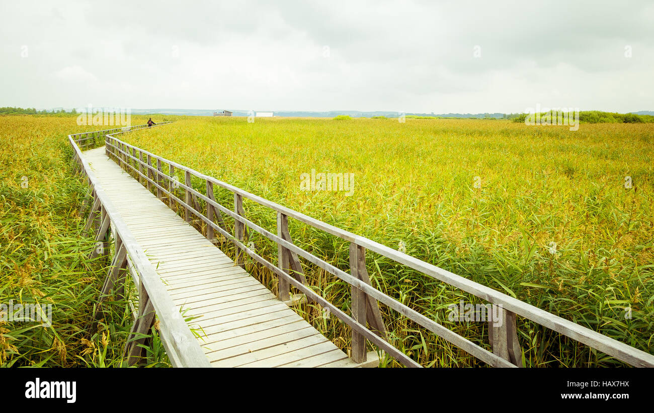 Bad Buchau, Germany Stock Photo - Alamy