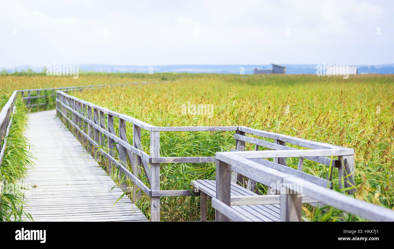 Bad Buchau, Germany Stock Photo - Alamy