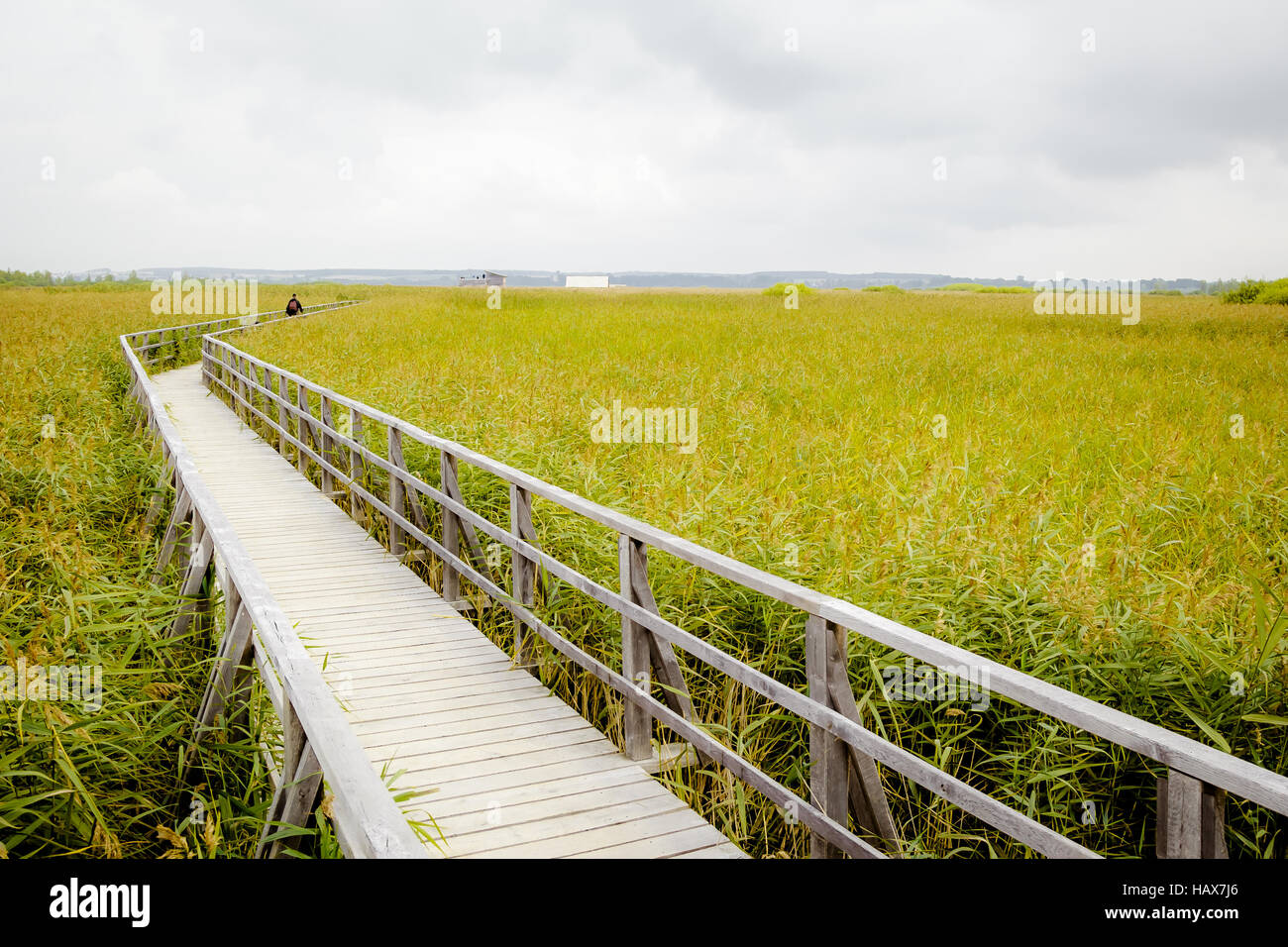 Bad Buchau, Germany Stock Photo - Alamy