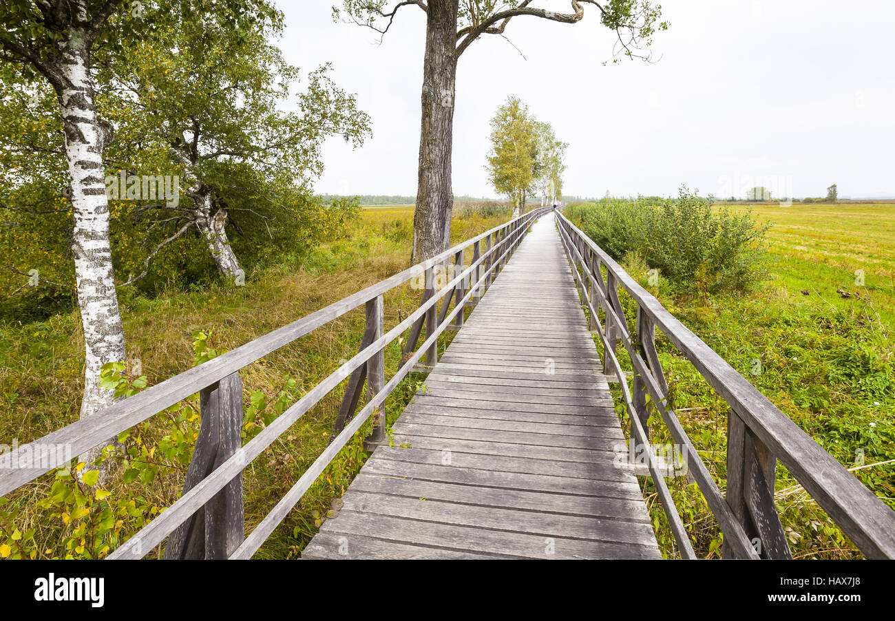 Bad Buchau, Germany Stock Photo - Alamy