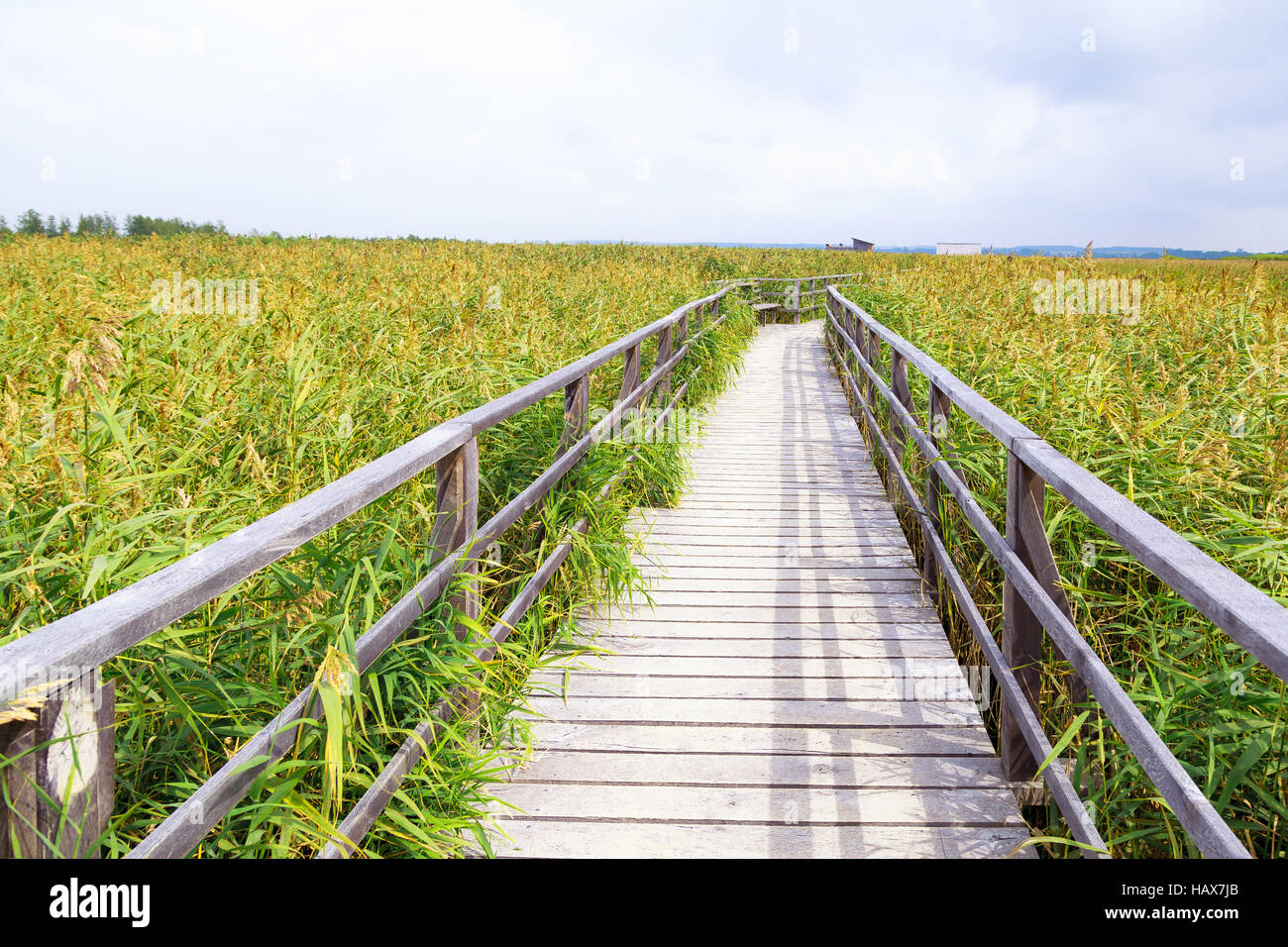 Bad Buchau, Germany Stock Photo - Alamy