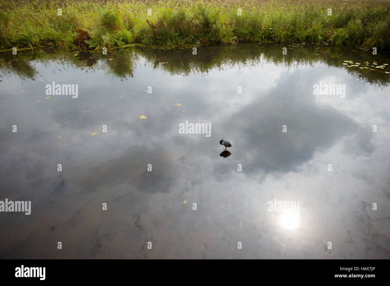 Bad Buchau, Germany Stock Photo - Alamy