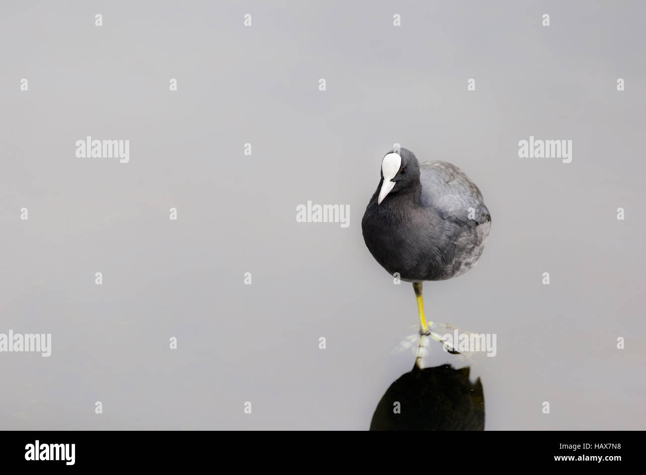 Bad Buchau, Germany Stock Photo - Alamy