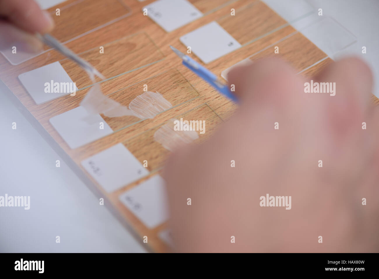 fingerprint evidence in the lab Stock Photo - Alamy
