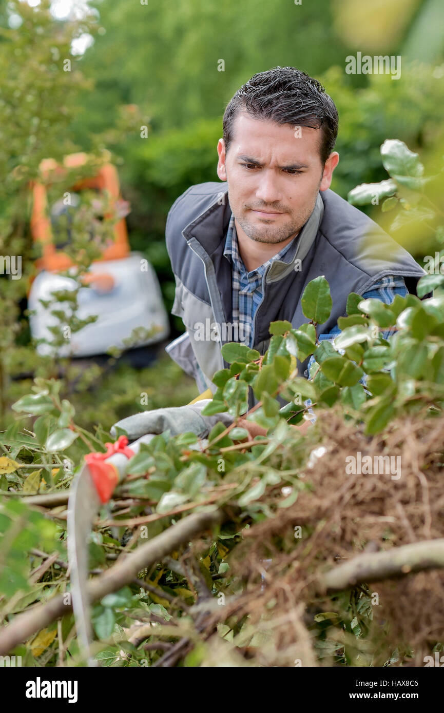 Man revamping a garden Stock Photo - Alamy