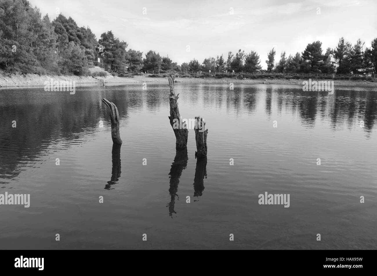 Photography of nature in the open space Stock Photo - Alamy