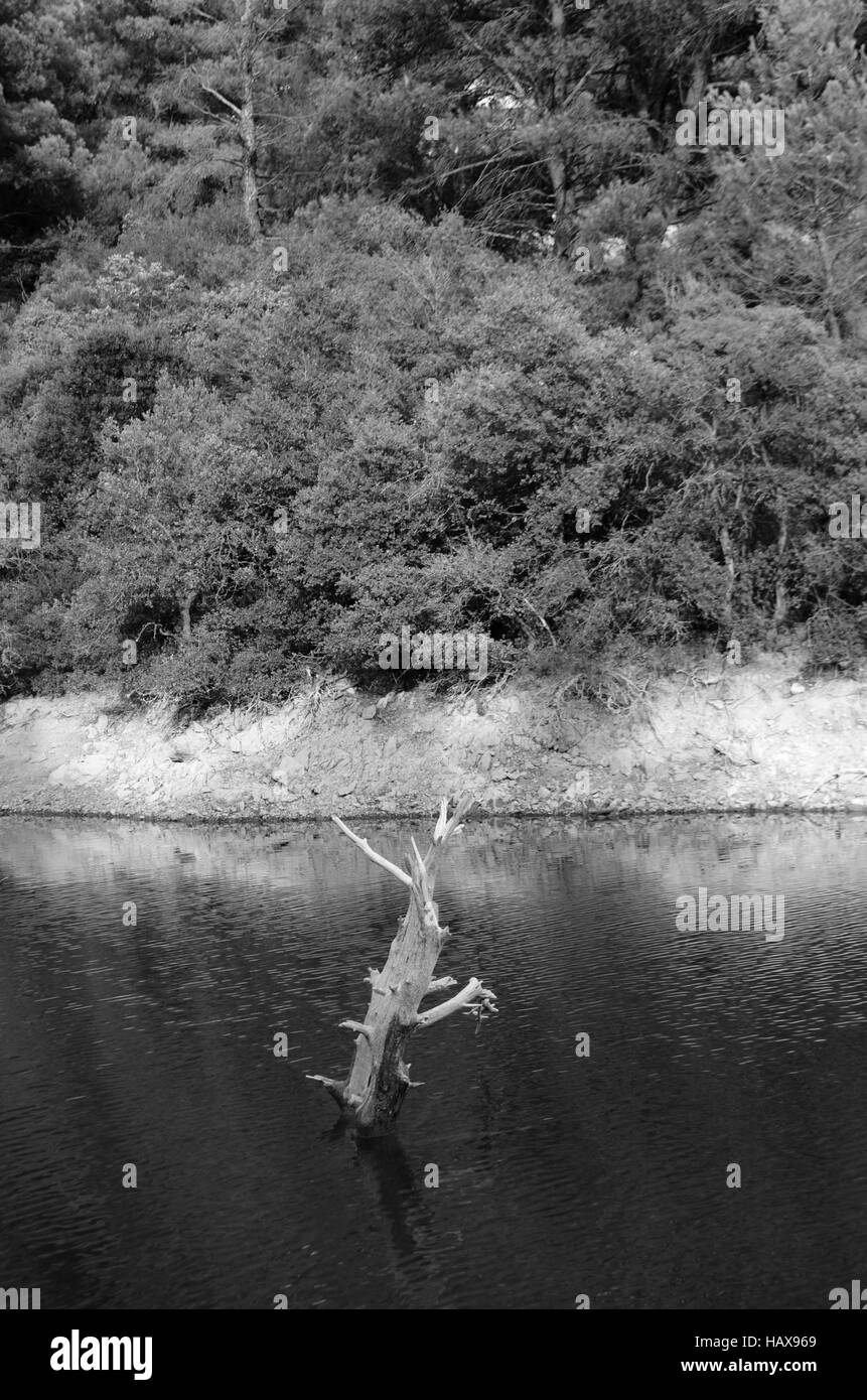 Fabric photography Black and White Stock Photos & Images - Alamy