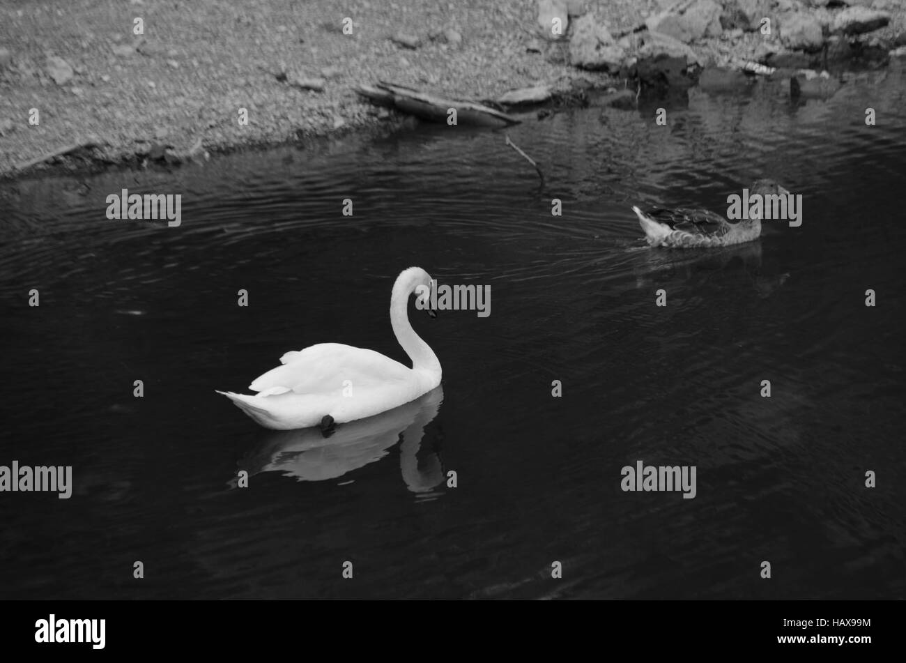 Fabric photography Black and White Stock Photos & Images - Alamy