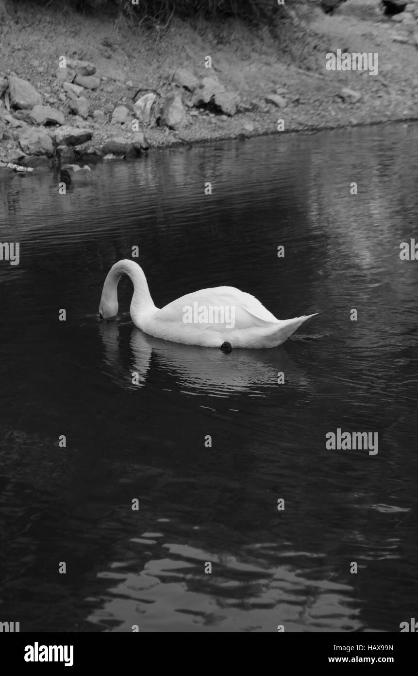 Photography of nature in the open space Stock Photo - Alamy