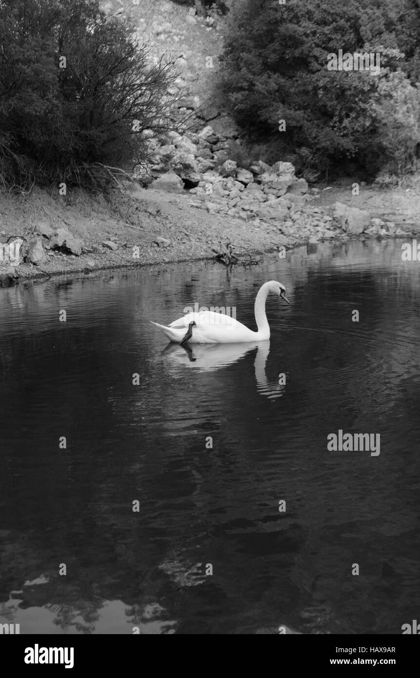 Photography of nature in the open space Stock Photo - Alamy