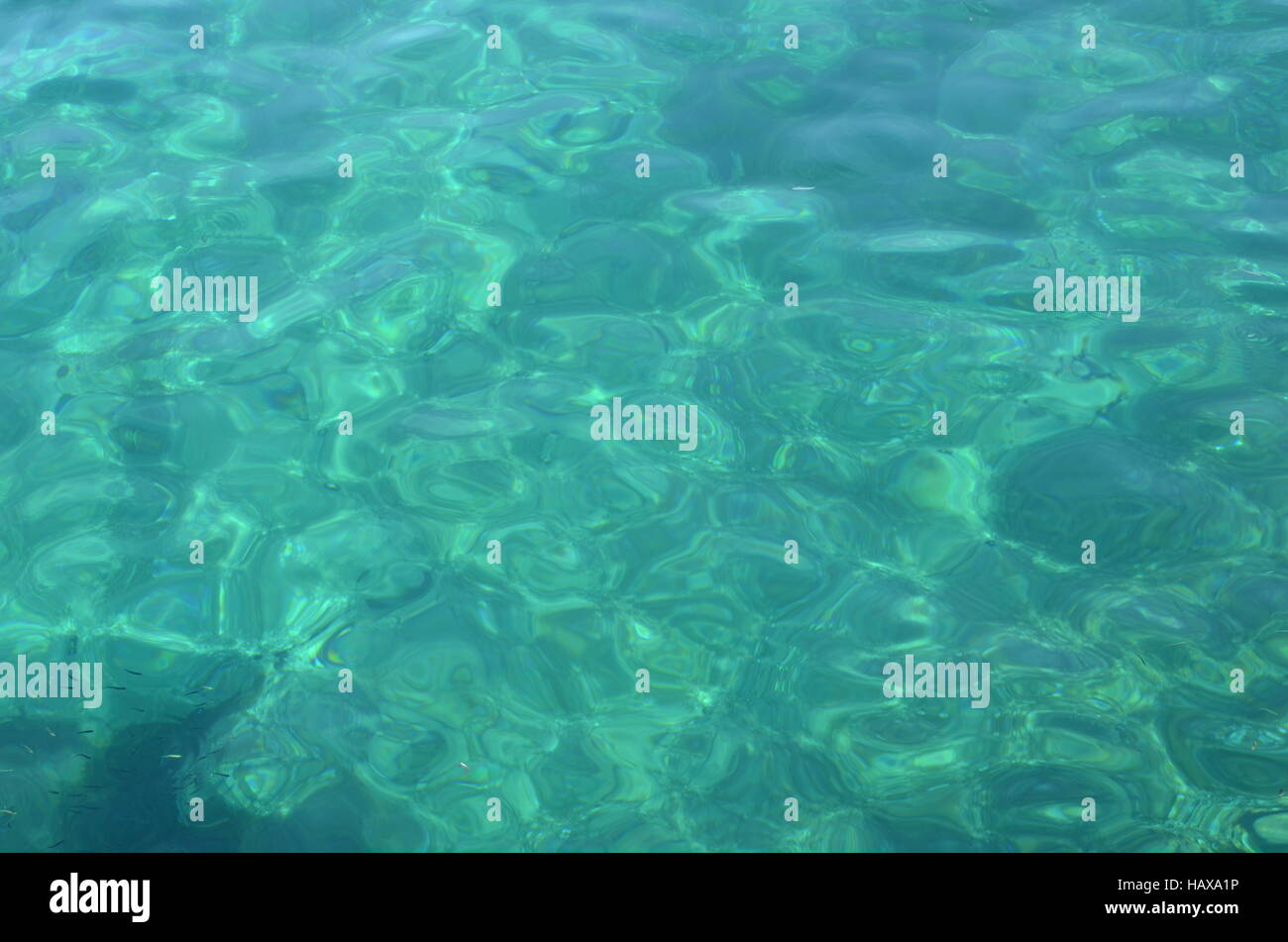 Photography of nature in the open space Stock Photo - Alamy