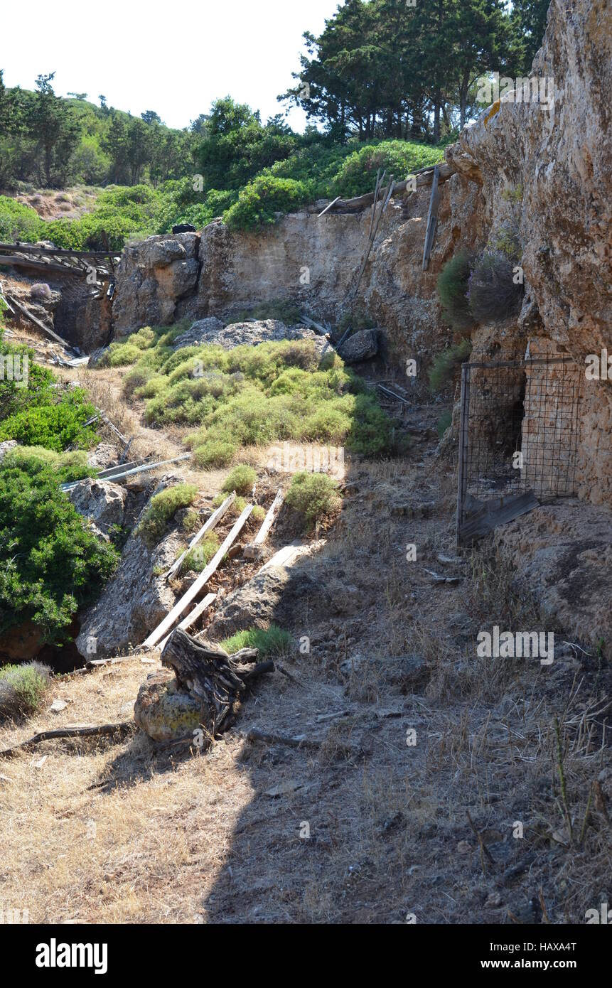 Photography of nature in the open space Stock Photo - Alamy
