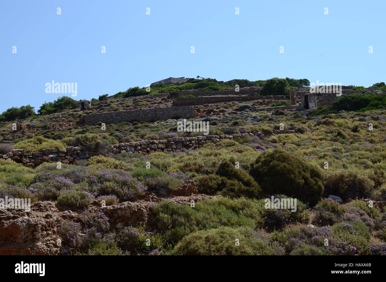 Photography of nature in the open space Stock Photo - Alamy