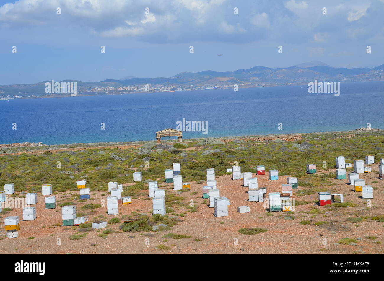 Photography of nature in the open space Stock Photo - Alamy