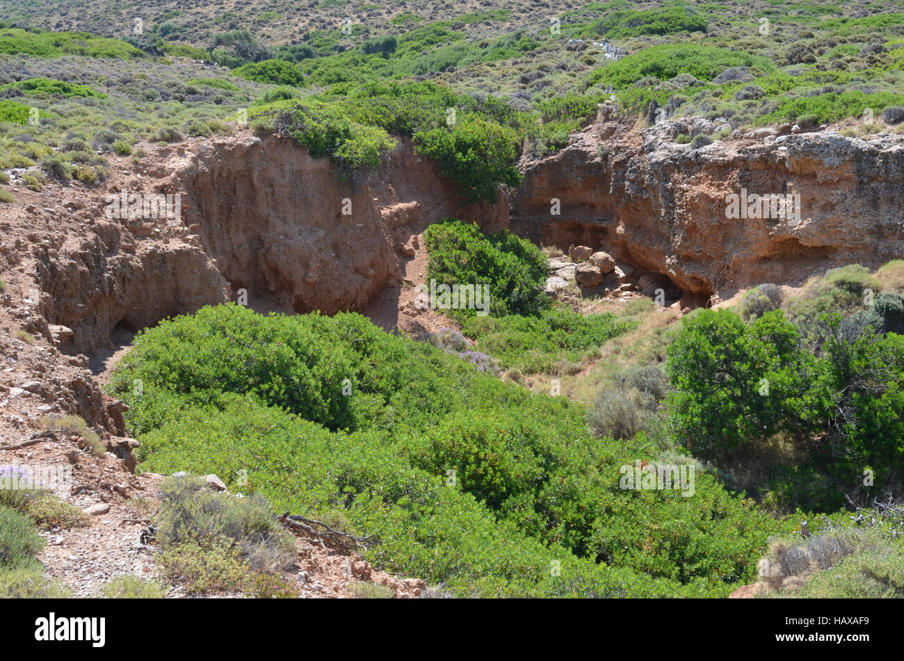 Photography of nature in the open space Stock Photo - Alamy