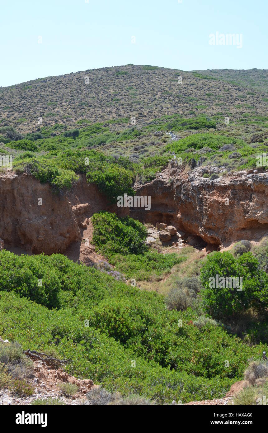 Photography of nature in the open space Stock Photo - Alamy