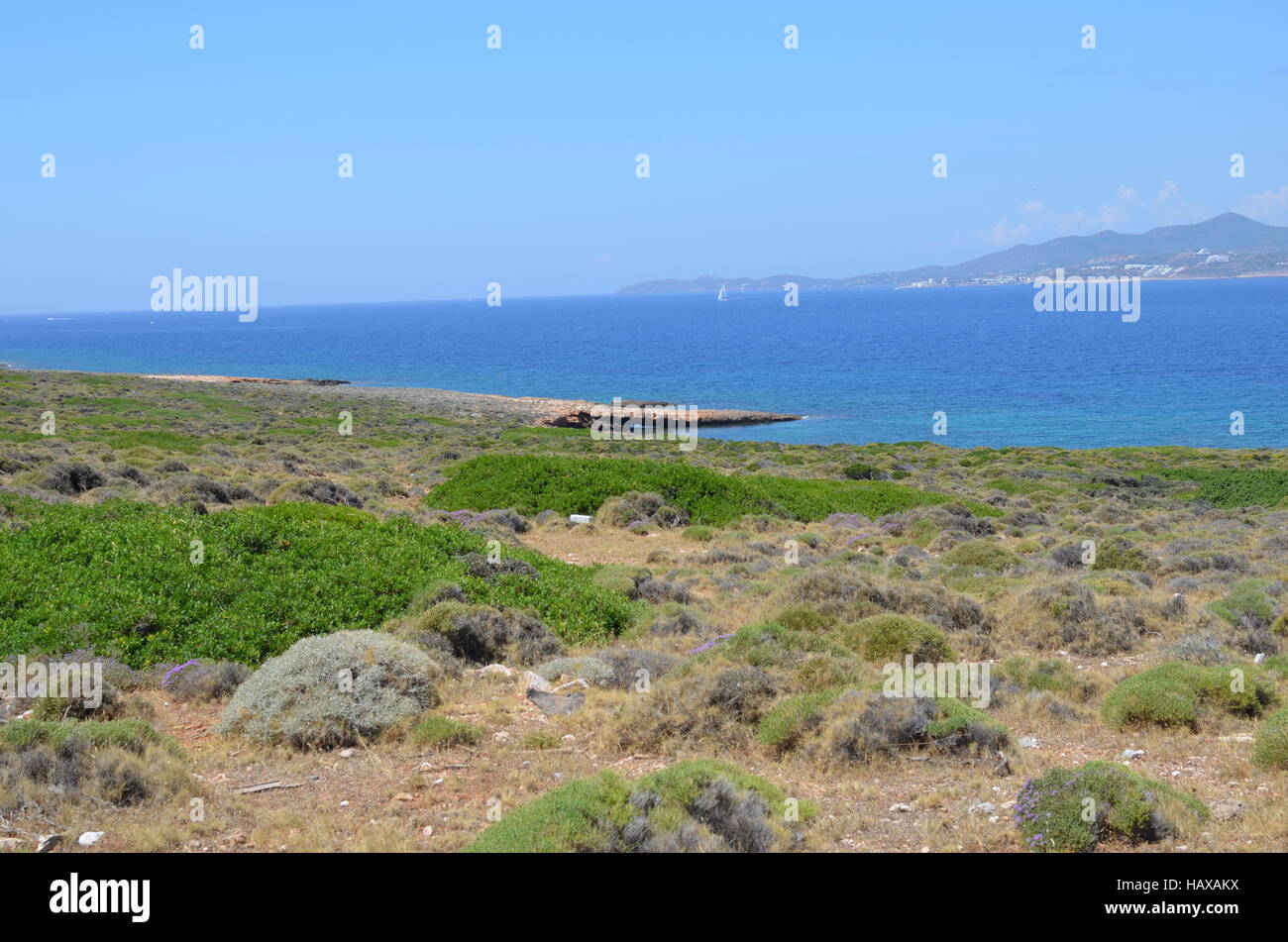 Photography of nature in the open space Stock Photo - Alamy