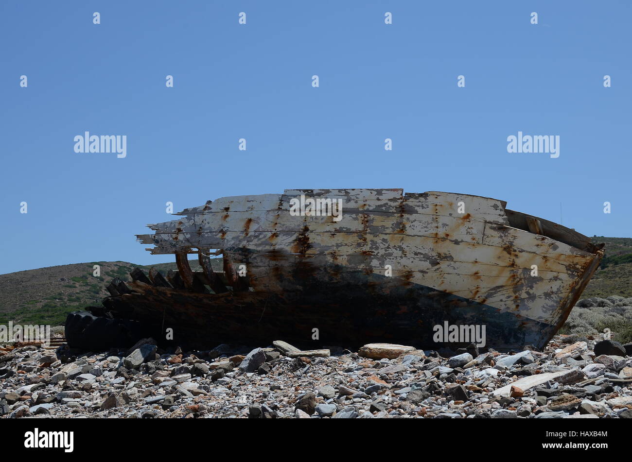 Photography of nature in the open space Stock Photo - Alamy