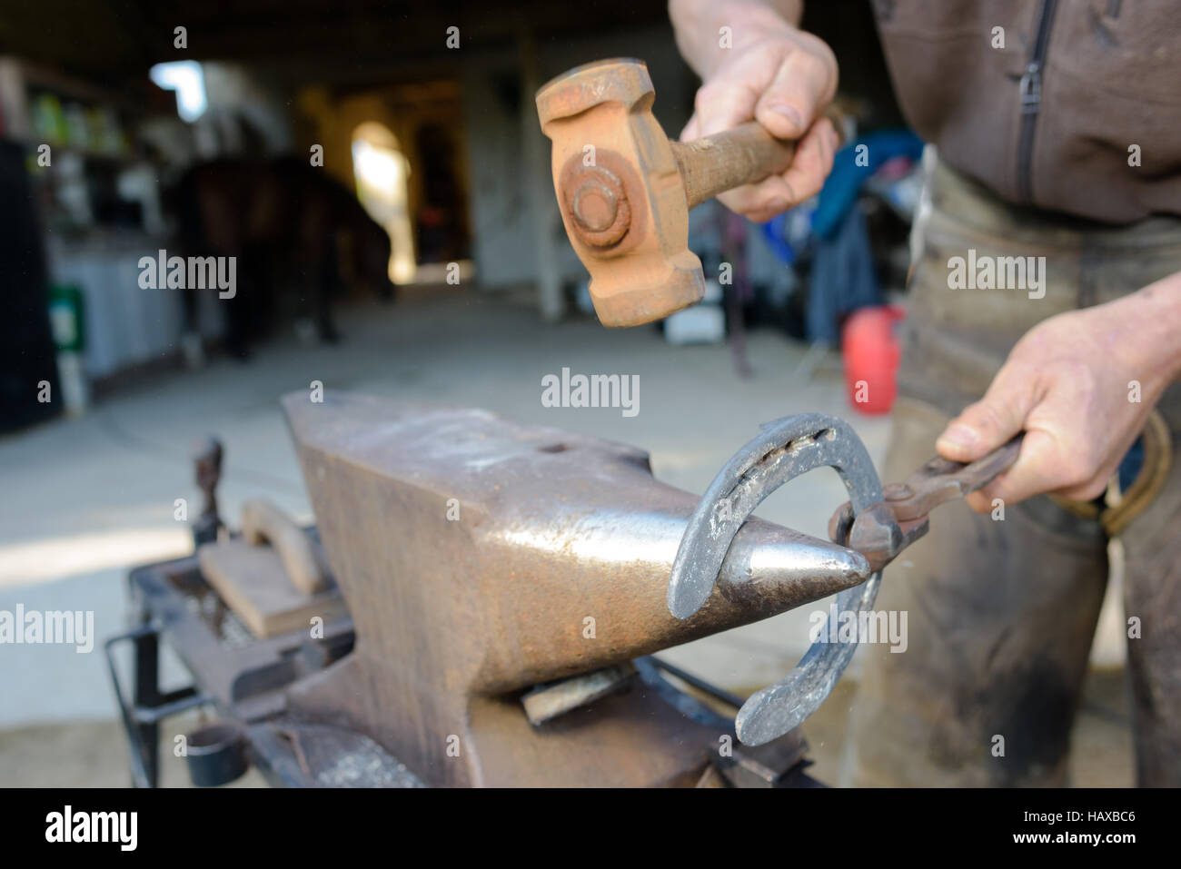 farrier at work Stock Photo - Alamy