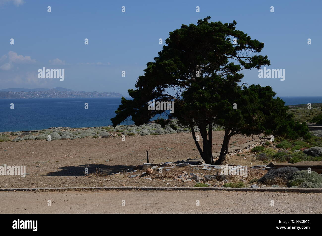 Photography of nature in the open space Stock Photo - Alamy