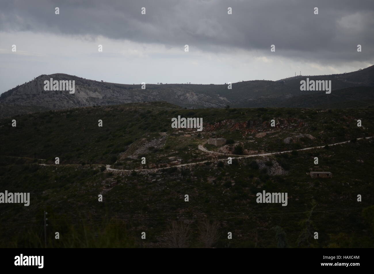 Photography of nature in the open space Stock Photo - Alamy