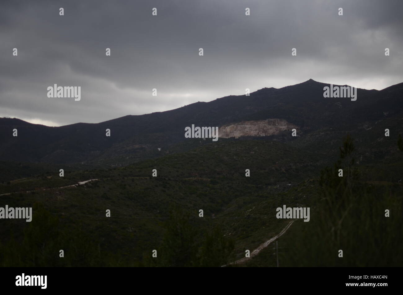 Photography of nature in the open space Stock Photo - Alamy