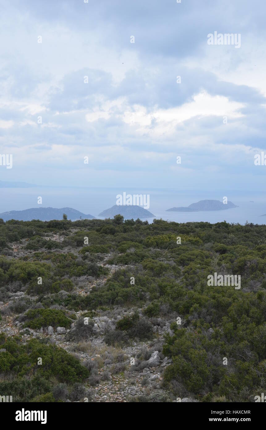 Nature photography out in the open space Stock Photo - Alamy