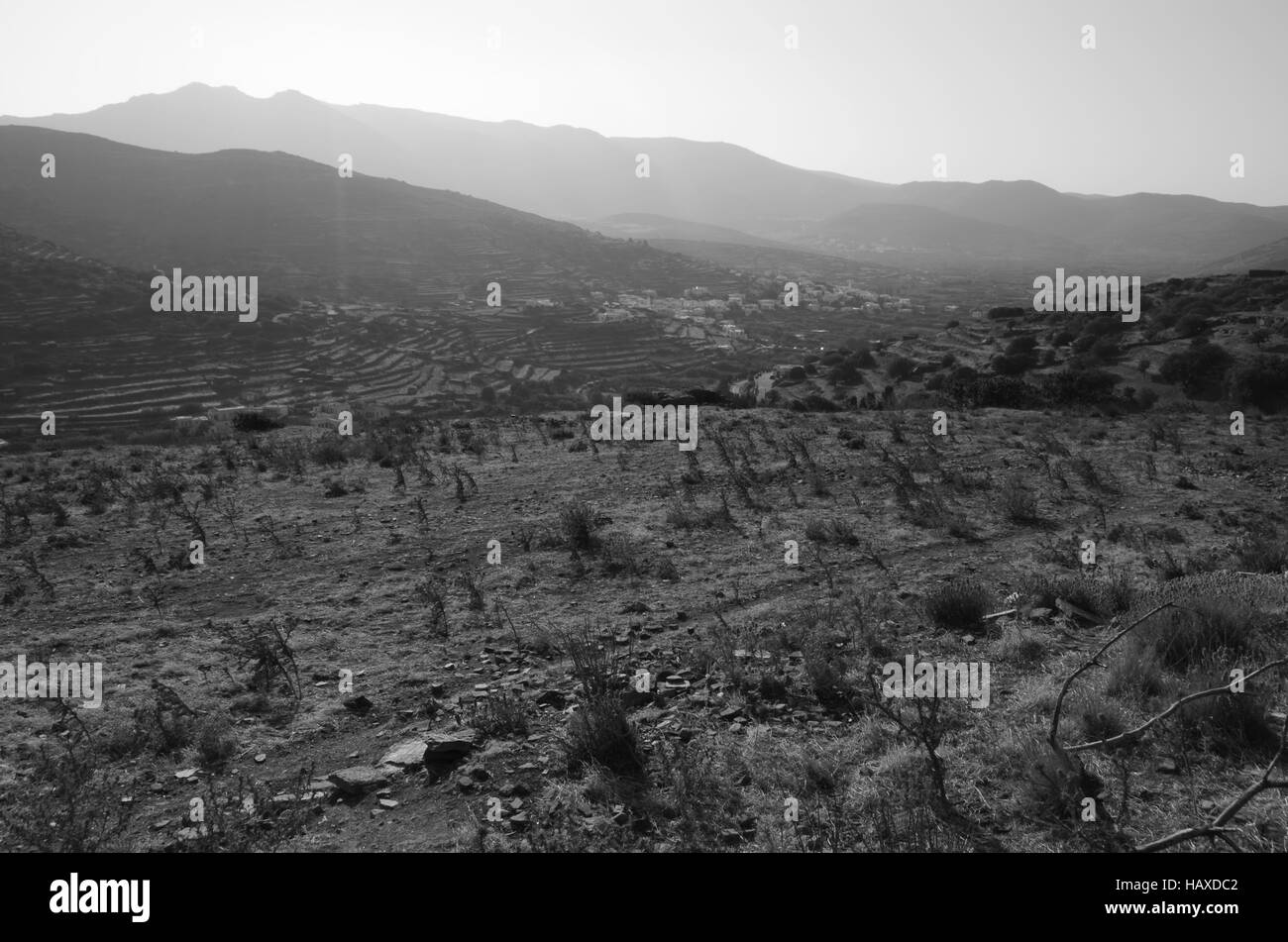 Photography of nature in the open space Stock Photo - Alamy