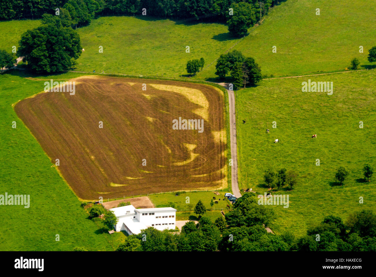 Manure Field High Resolution Stock Photography and Images - Alamy